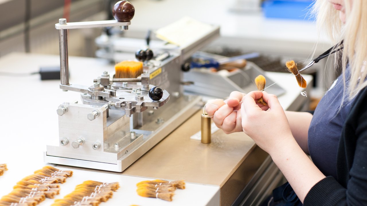 Harvest & Processing